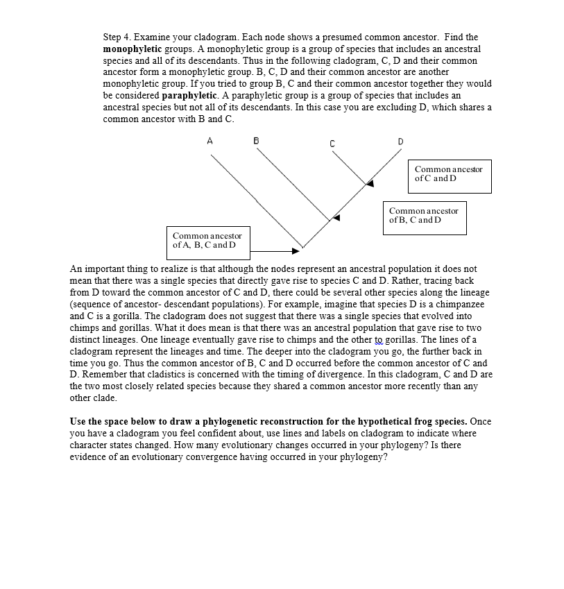 Solved Example Matrix Of Shared Derived Traits: # Species A | Chegg.com