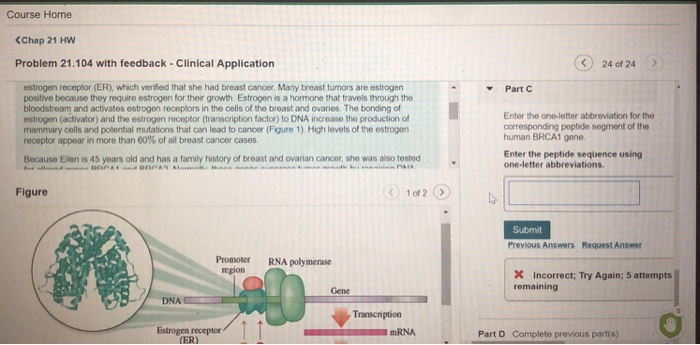 Solved Correct Part C Write the one-letter abbreviation for | Chegg.com