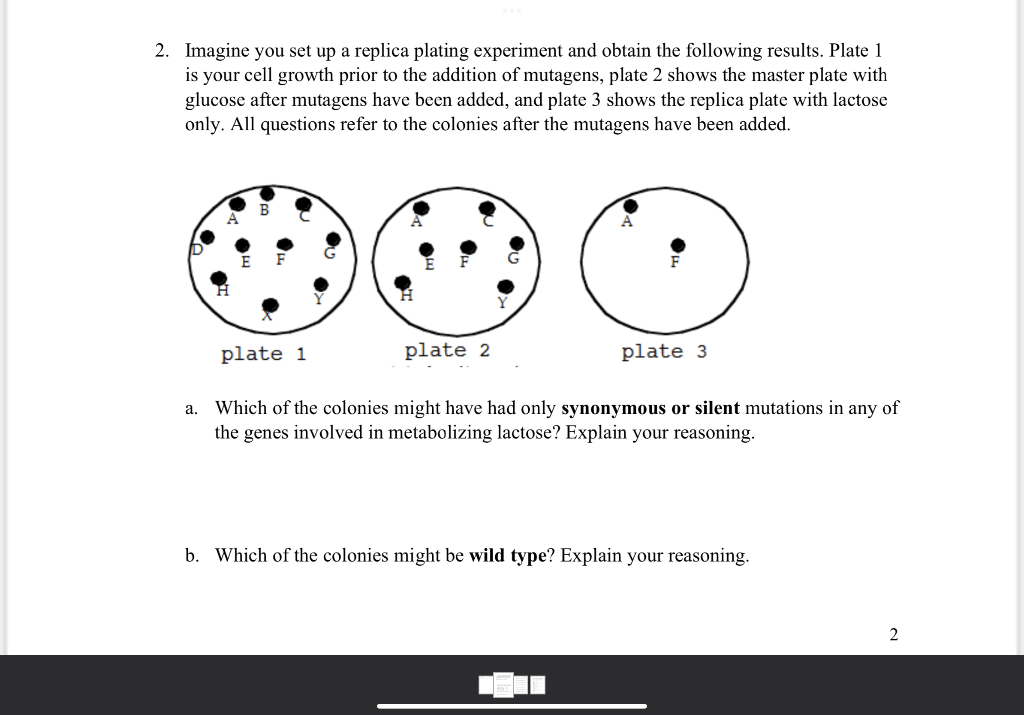 Solved 2. Imagine you set up a replica plating experiment | Chegg.com