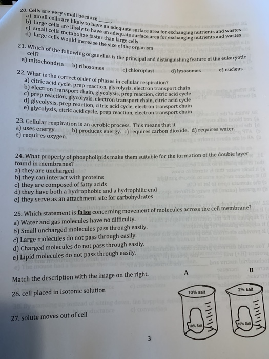 Solved 1. The scientific study of life is known as a) | Chegg.com