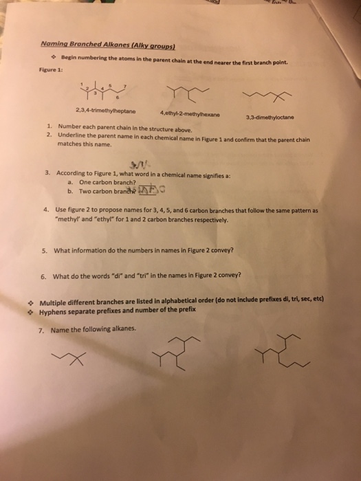 Solved Branc Begin numbering the atoms in the parent chain | Chegg.com Solved Branc Begin numbering the atoms in the parent chain | Chegg.com