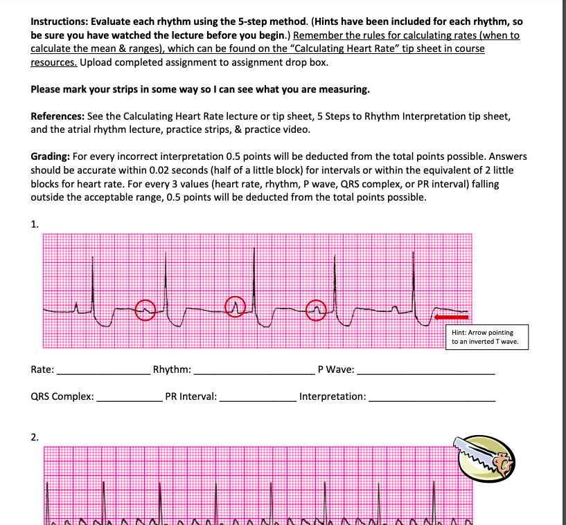 Solved Instructions: Evaluate each rhythm using the 5-step | Chegg.com