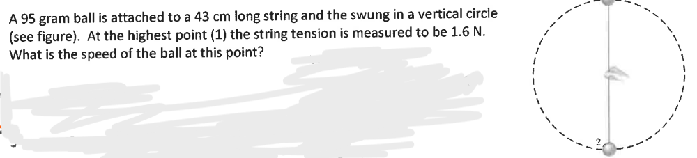 Solved A 95 gram ball is attached to a 43 cm long string and | Chegg.com