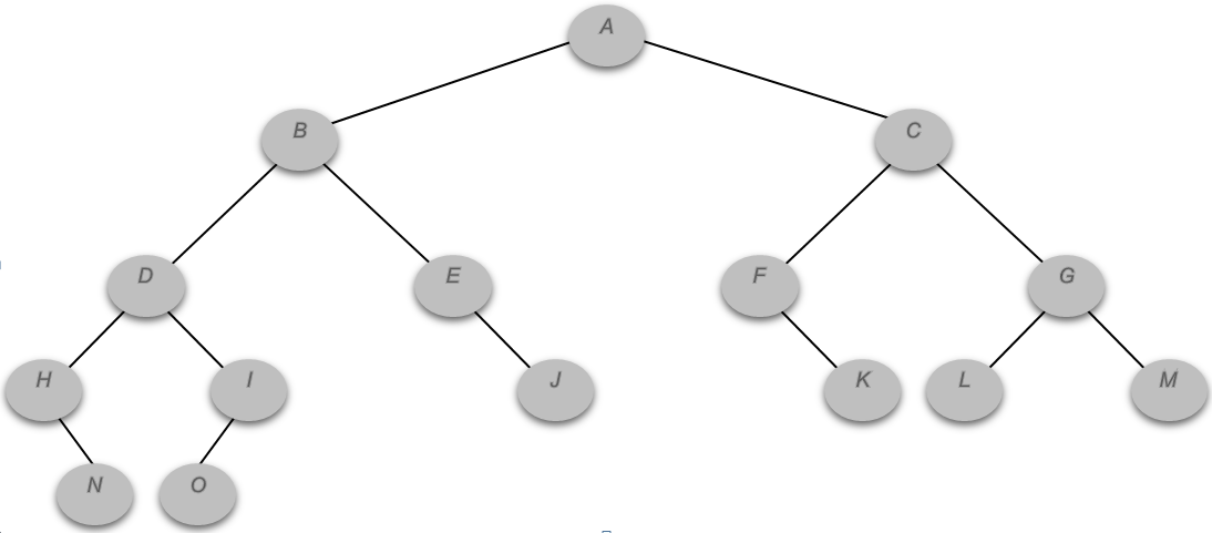 Solved What is the order of the letters for the | Chegg.com