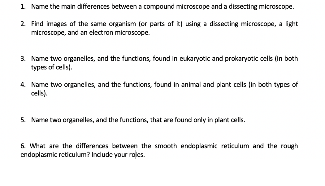 How Are Compound Light Microscopes And Electron Alike | Shelly Lighting