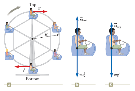 The Figure Below Shows A Ferris Wheel That Rotates ... | Chegg.com