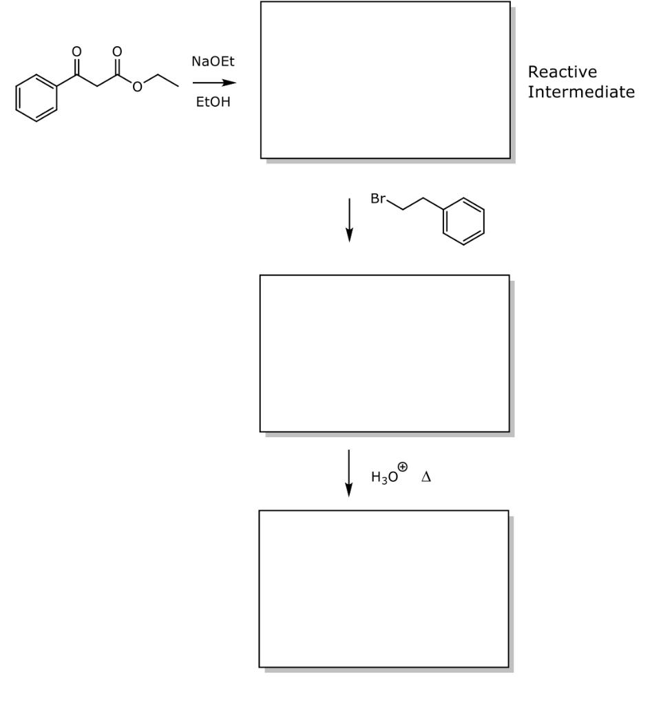 Solved NaOEt Reactive Intermediate | Chegg.com
