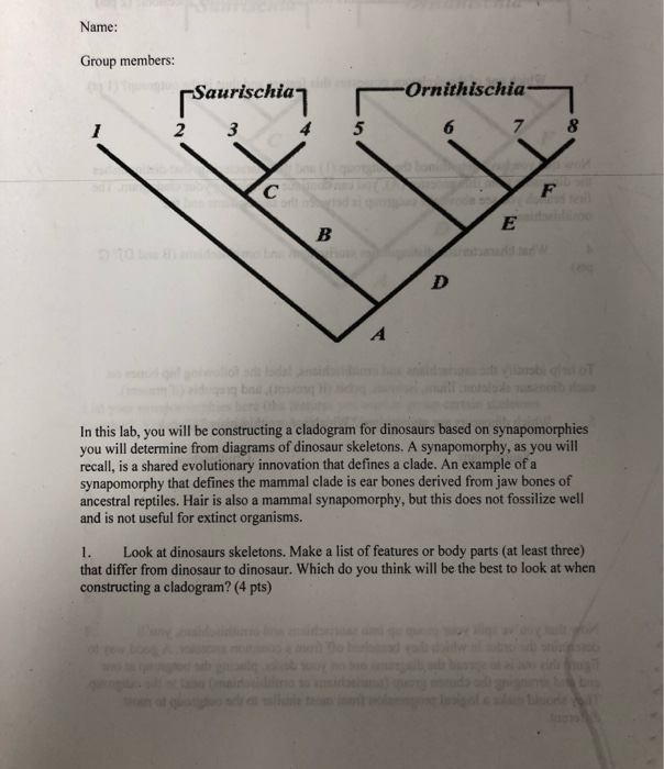 Name: Group members: Ornithischia Saurischia In this | Chegg.com