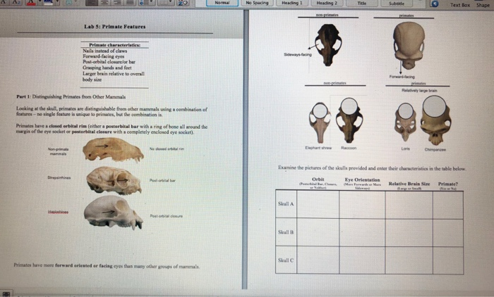 Nomal No SpacingHeaingHeading No Spacig Headang | Chegg.com