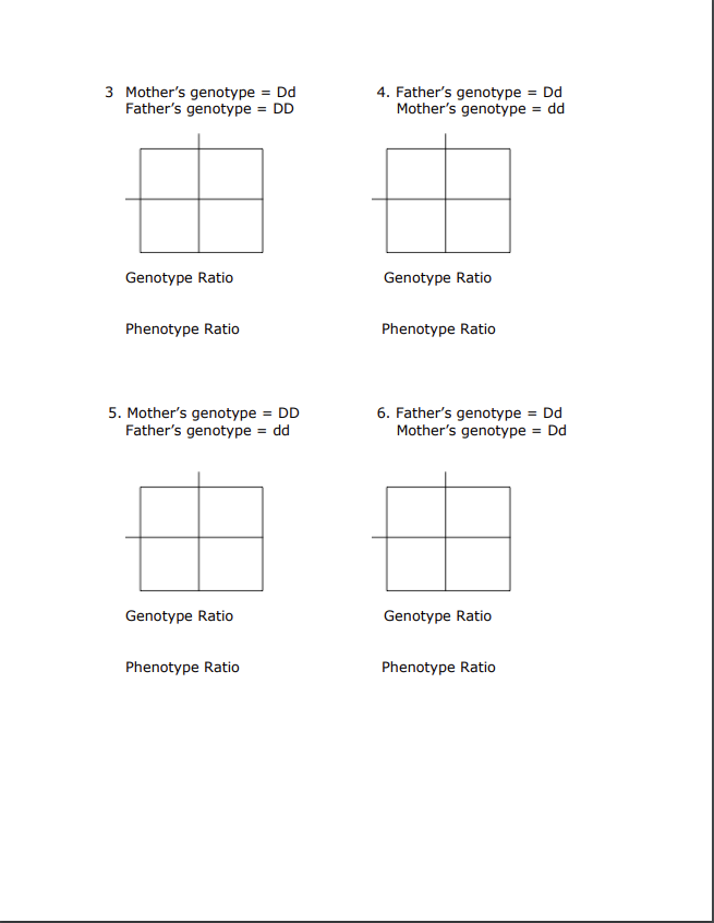 Mother's genotype =Dd Father's genotype = DD Genotype | Chegg.com
