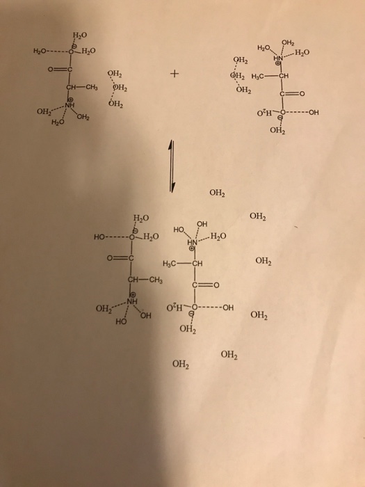 Solved The dimerization of two alanine residues to form an | Chegg.com