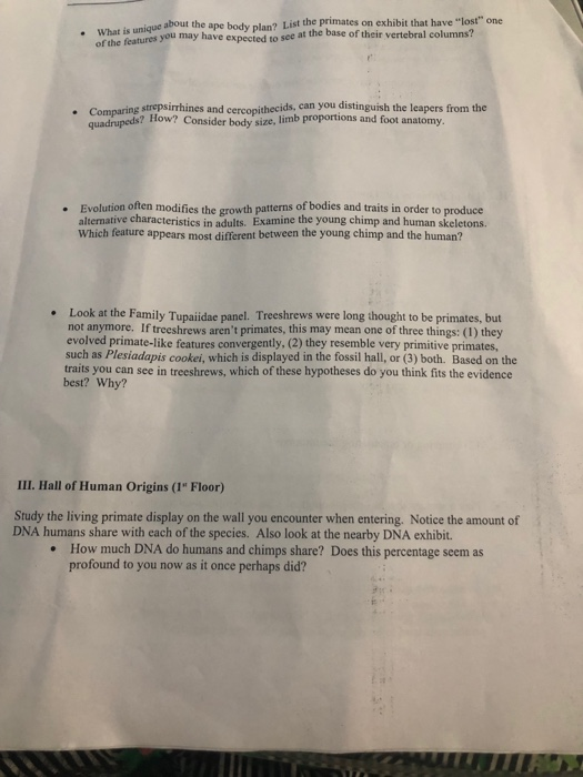 What is unique about the ape body plan? List the | Chegg.com