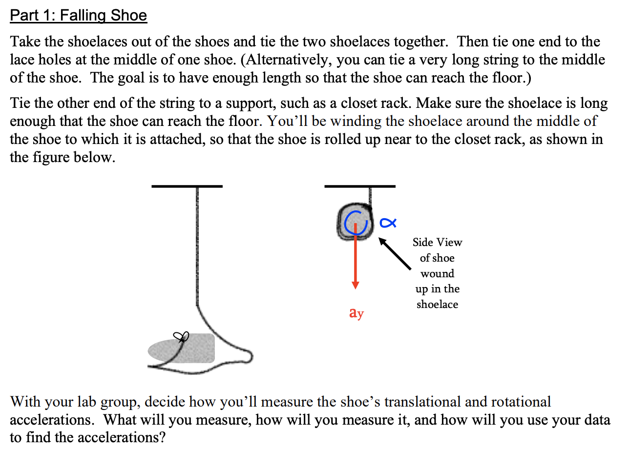 Solved Part 1: Falling Shoe Take the shoelaces out of the | Chegg.com