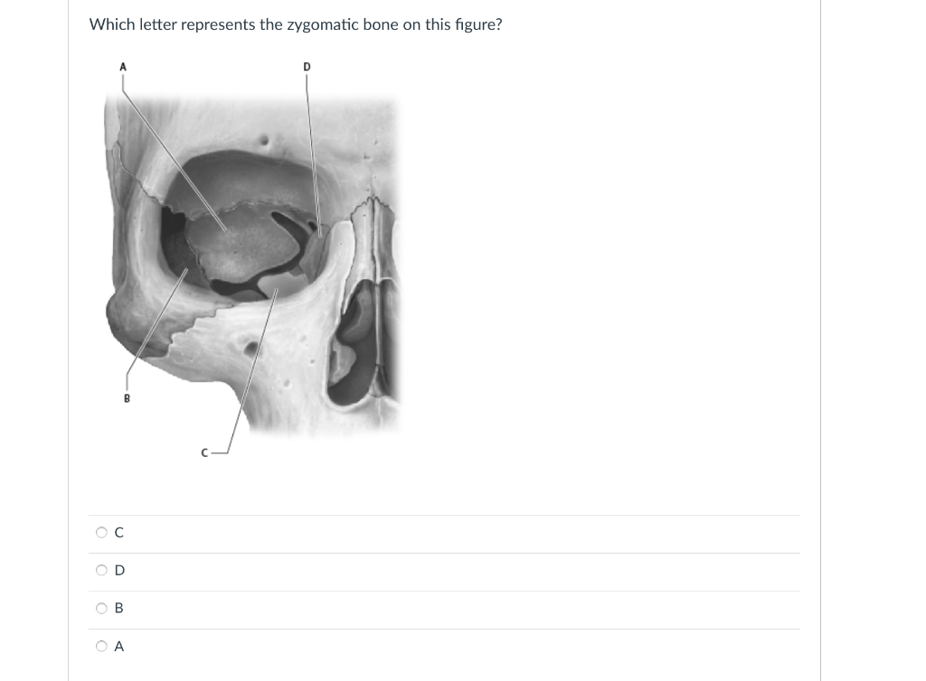 Solved What is the function of the highlighted structure? O | Chegg.com