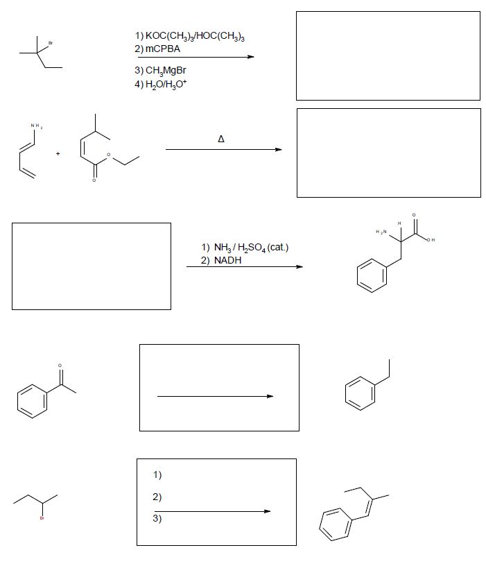 Solved 1) KOC(CH3)3/HOC(CH3), 2) mCPBA 3) CH, MgBr 4) | Chegg.com