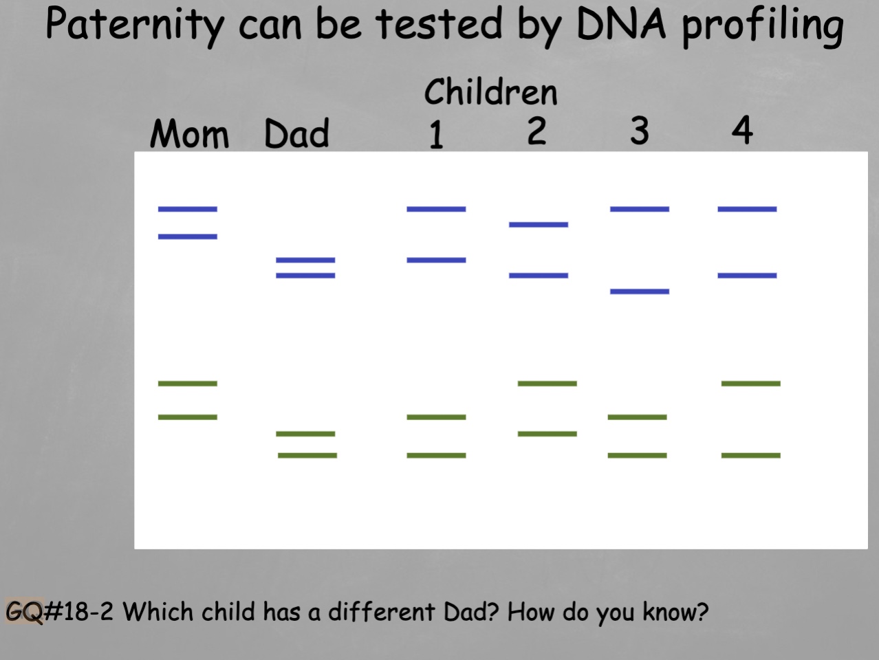 Solved Paternity can be tested by DNA profiling. Use DNA | Chegg.com