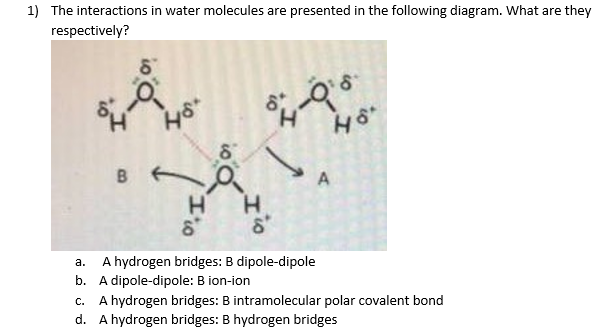 Solved 1) The interactions in water molecules are presented | Chegg.com