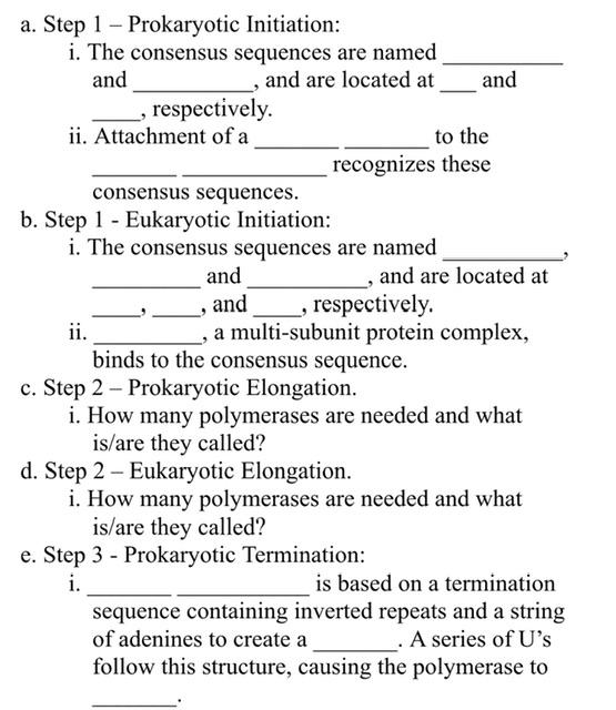 Solved 1. Fill in the outline noting the major differences | Chegg.com