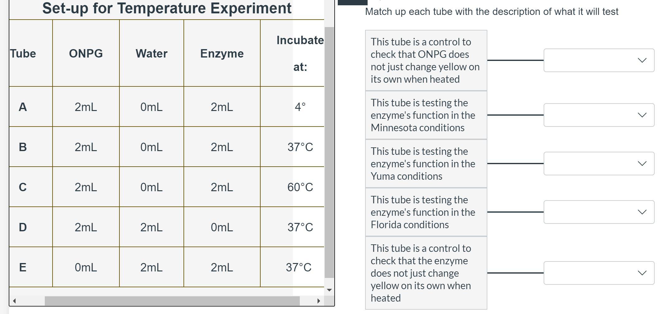 Solved Match each tube with the description of what it | Chegg.com
