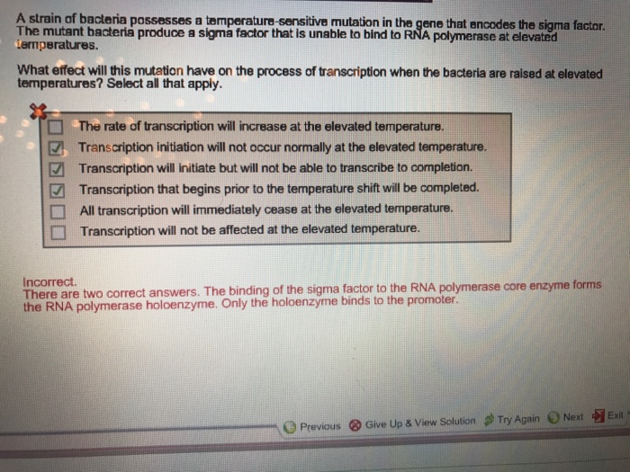 Solved A strain of bacteria possesses a | Chegg.com