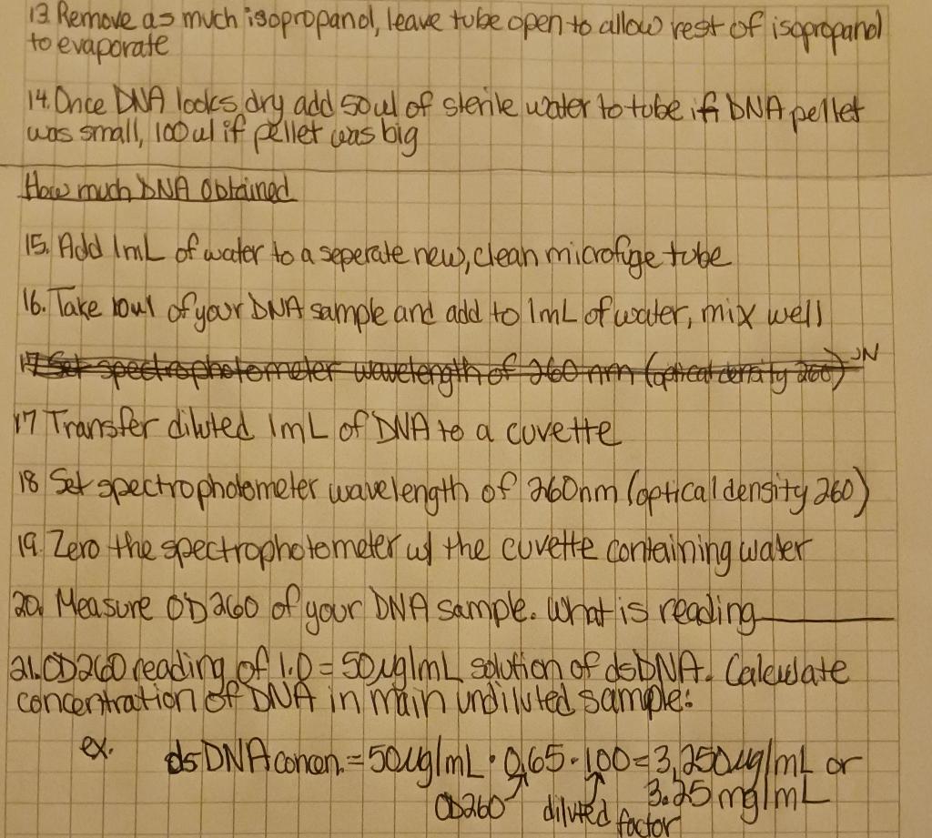- DNA sterile water soep. soap- salt water. conical | Chegg.com
