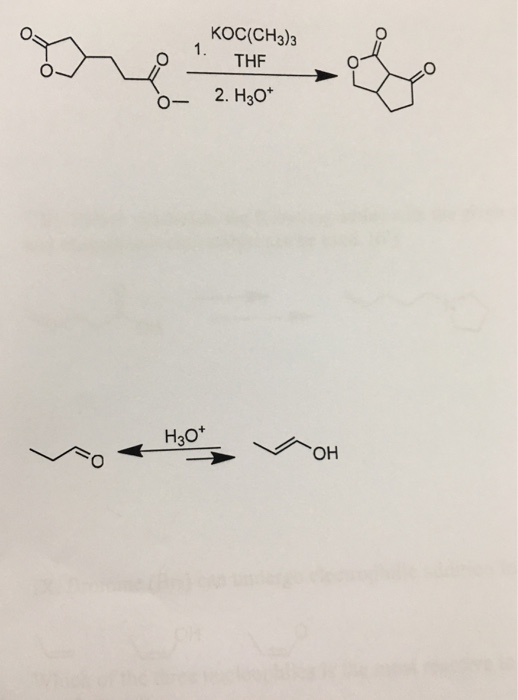 Solved KOC (CH3)3 THF 2. H30 H30 | Chegg.com