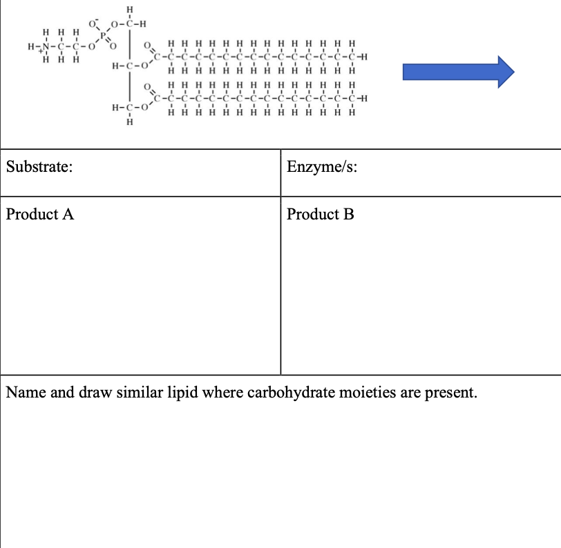 Solved Recognize the substrates shown in the pictures and | Chegg.com
