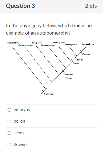 Solved On this phylogeny, the circled group represents: a | Chegg.com