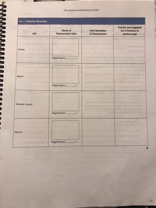 Solved The Anatomy and Diversity of Cells Bex 1 Cellular | Chegg.com