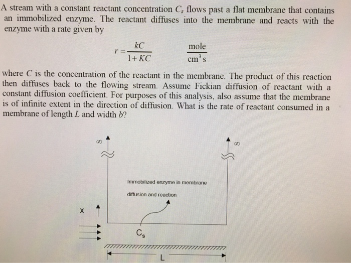 Solved A stream with a constant reactant concentration C_s | Chegg.com