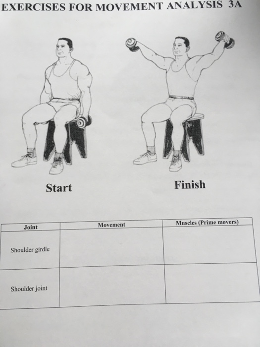 Solved EXERCISES FOR MOVEMENT ANALYSIS 3A lt Start Finish | Chegg.com