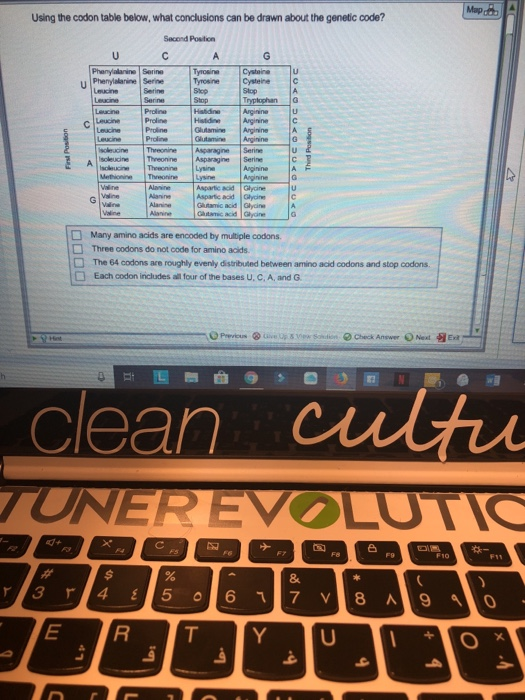 Solved Using the codon table below, what conclusions can be | Chegg.com