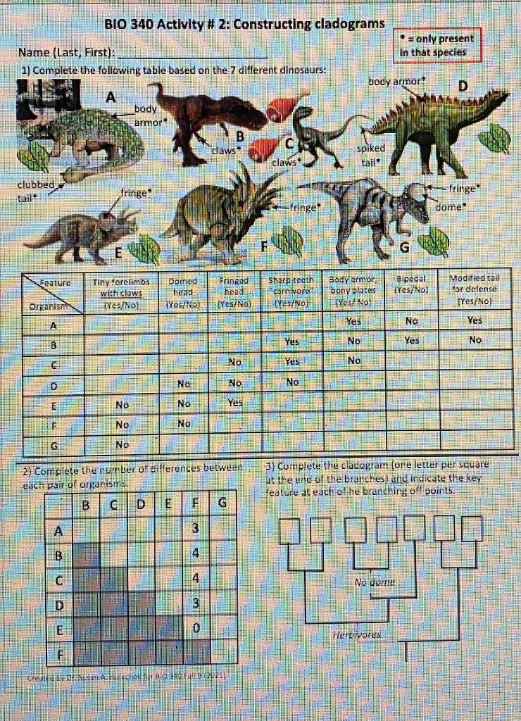 BIO 340 Activity # 2: Constructing cladograms * = | Chegg.com