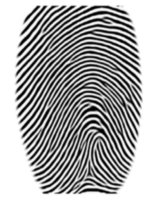 Instruction:1. Examine the fingerprint (Figure 1) | Chegg.com