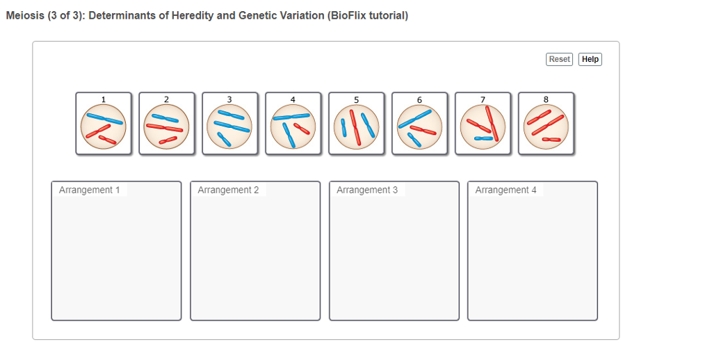 Solved Part B Independent assortment and genetic variation | Chegg.com