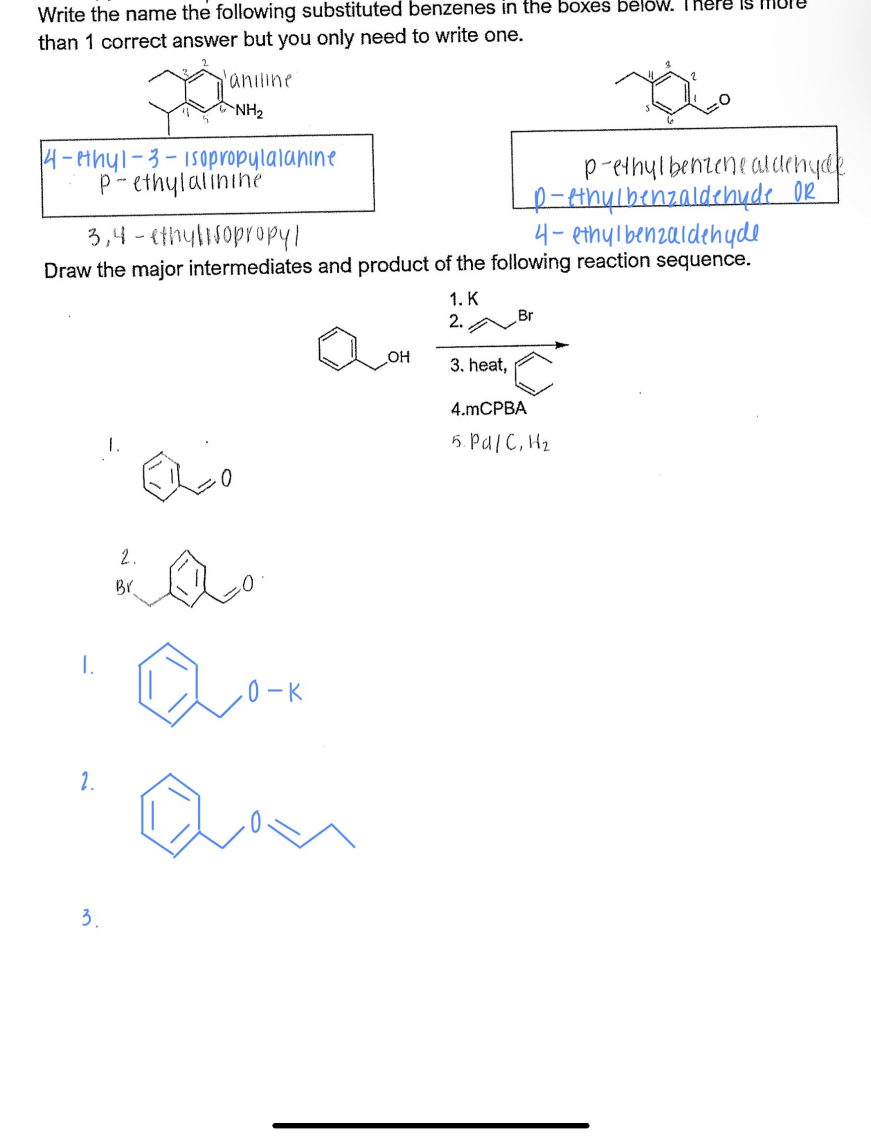 Solved Write the name the following substituted benzenes in | Chegg.com