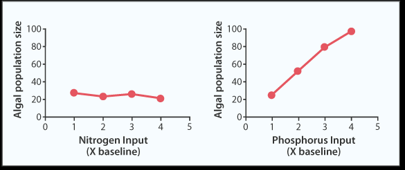 Solved The graphs below represent algal abundance in a | Chegg.com