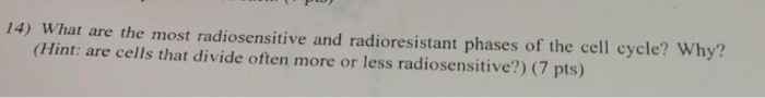 Solved 14) What are the most radiosensitive and | Chegg.com