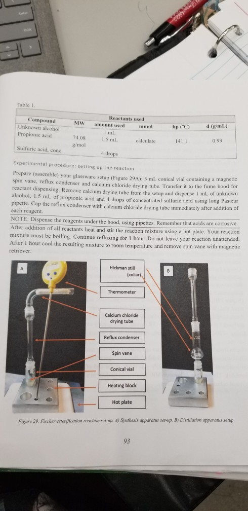 fischer esterification lab report chegg