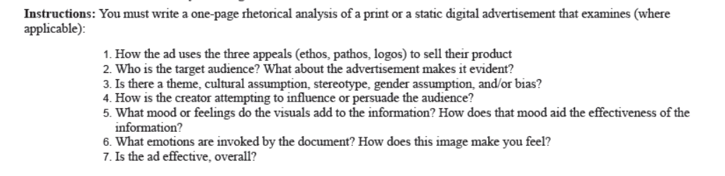 Solved Instructions: You must write a one-page rhetorical | Chegg.com