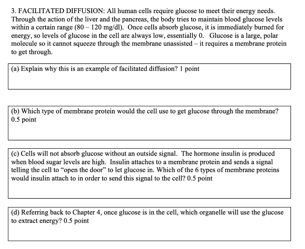 Solved 3. FACILITATED DIFFUSION: All human cells require | Chegg.com