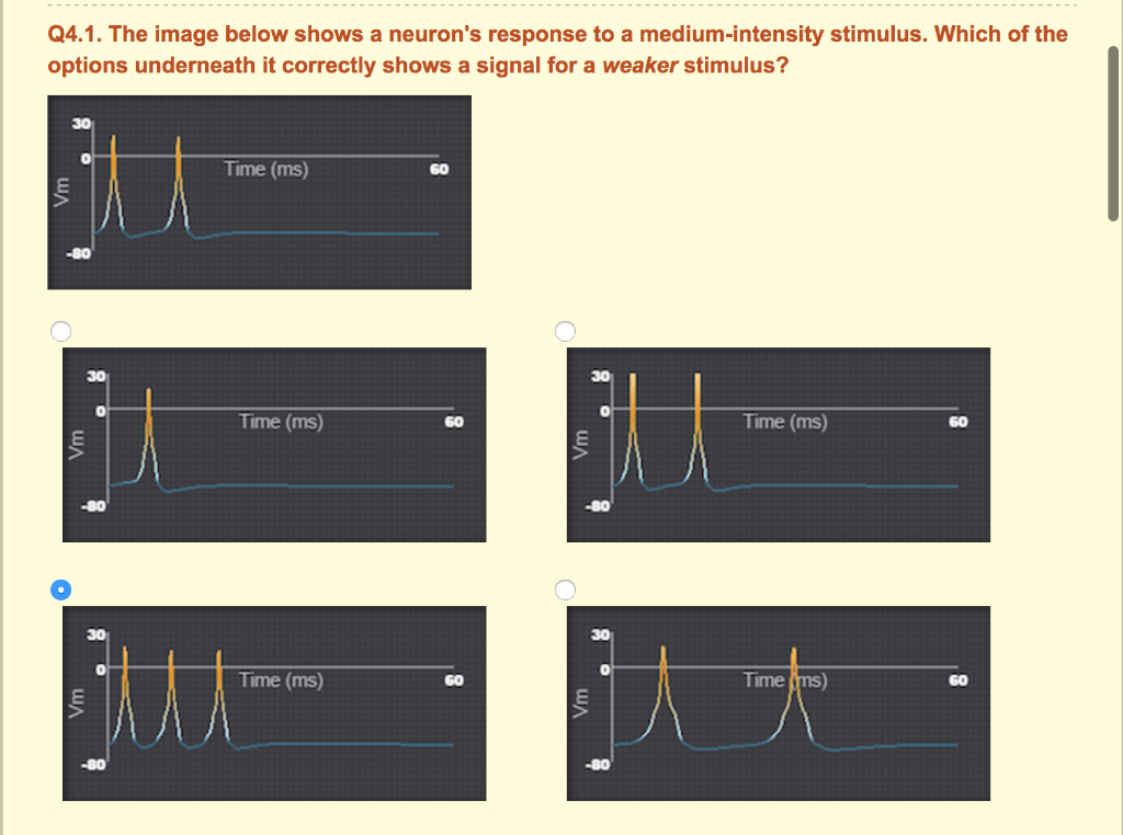 Solved: Q4.1. The Image Below Shows A Neuron's Response To... | Chegg.com