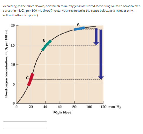 Solved According to the curve shown, how much more oxygen is | Chegg.com