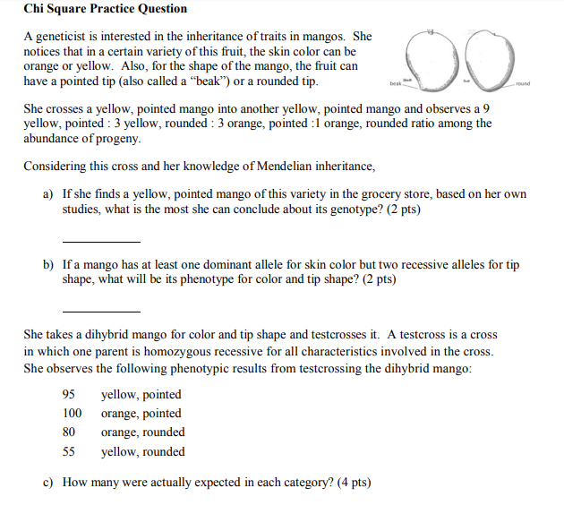 Solved Chi Square Practice Question A geneticist is | Chegg.com