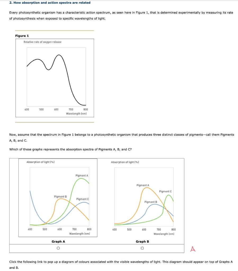 Solved 2. How absorption and action spectra are related | Chegg.com