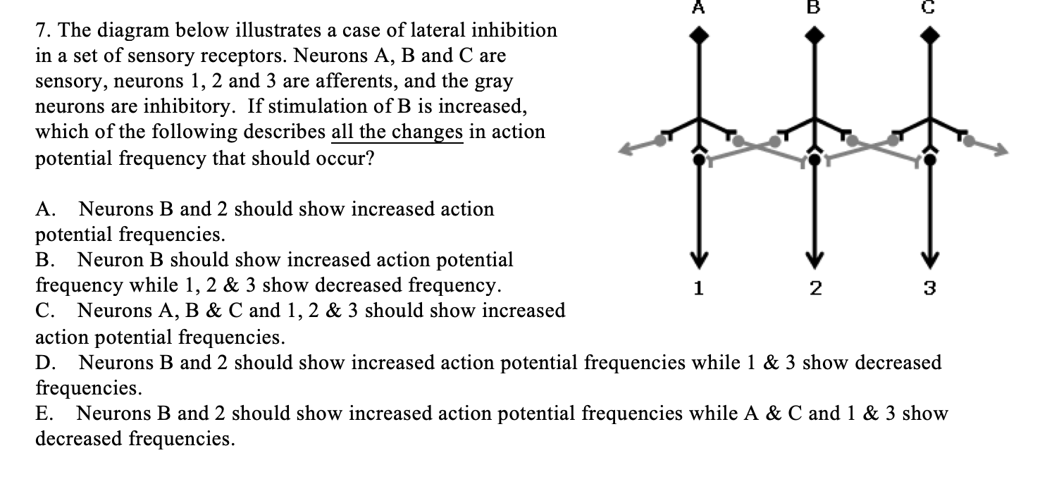 Solved 7. The diagram below illustrates a case of lateral | Chegg.com
