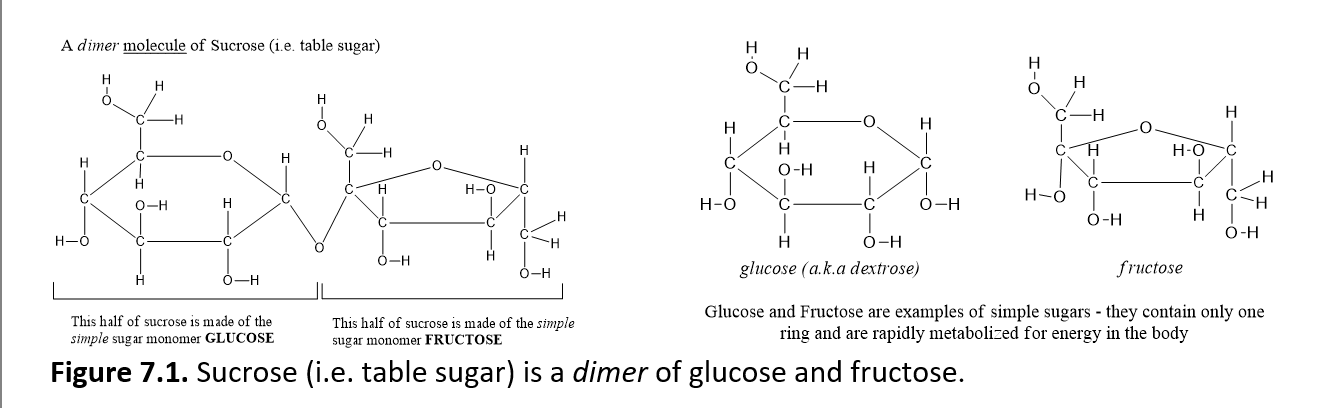 Solved A dimer molecule of Sucrose (i.e. table sugar) H O H | Chegg.com