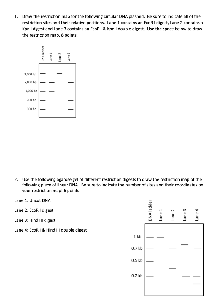 Solved 1. Draw the restric.on map for the following circular | Chegg.com
