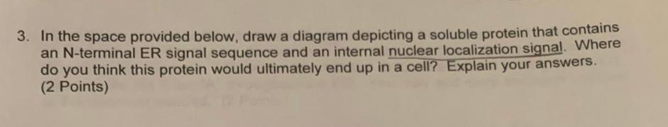 Solved 3. In the space provided below, draw a diagram | Chegg.com