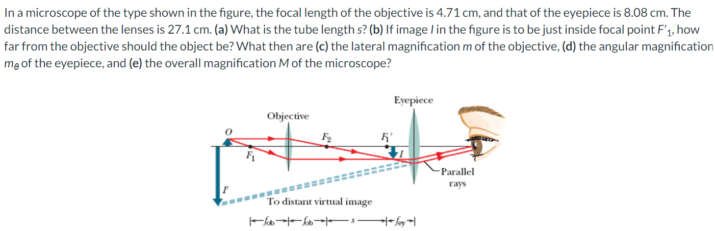 Solved In a microscope of the type shown in the figure, the | Chegg.com